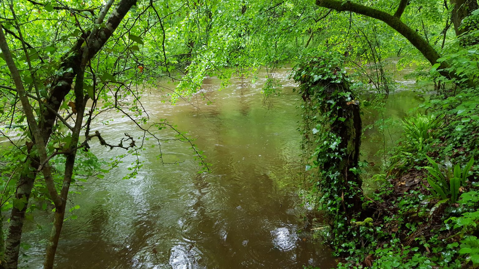 Le Belvédère du Ciron - Mairie de Bernos-Beaulac